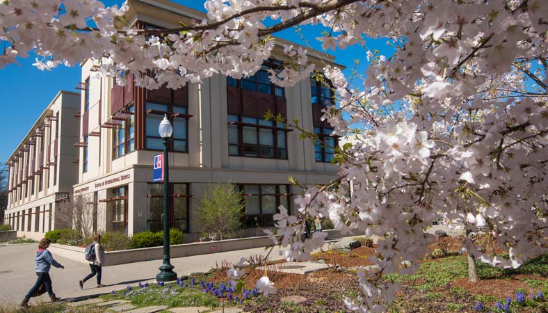 Case Studies - InSite